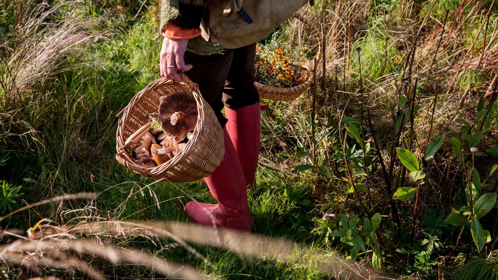 Forage for Food with The Carers' Centre