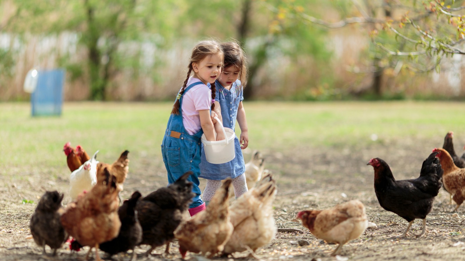 Magdalen Farm Residential | The Carers' Centre