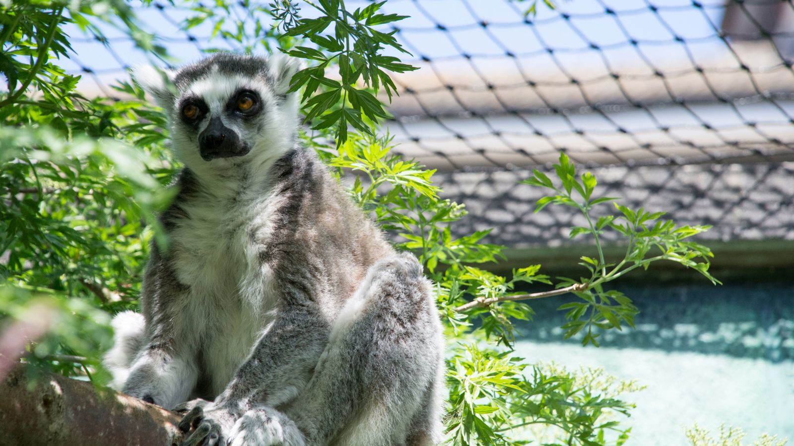 Bristol Zoo Project | The Carers' Centre